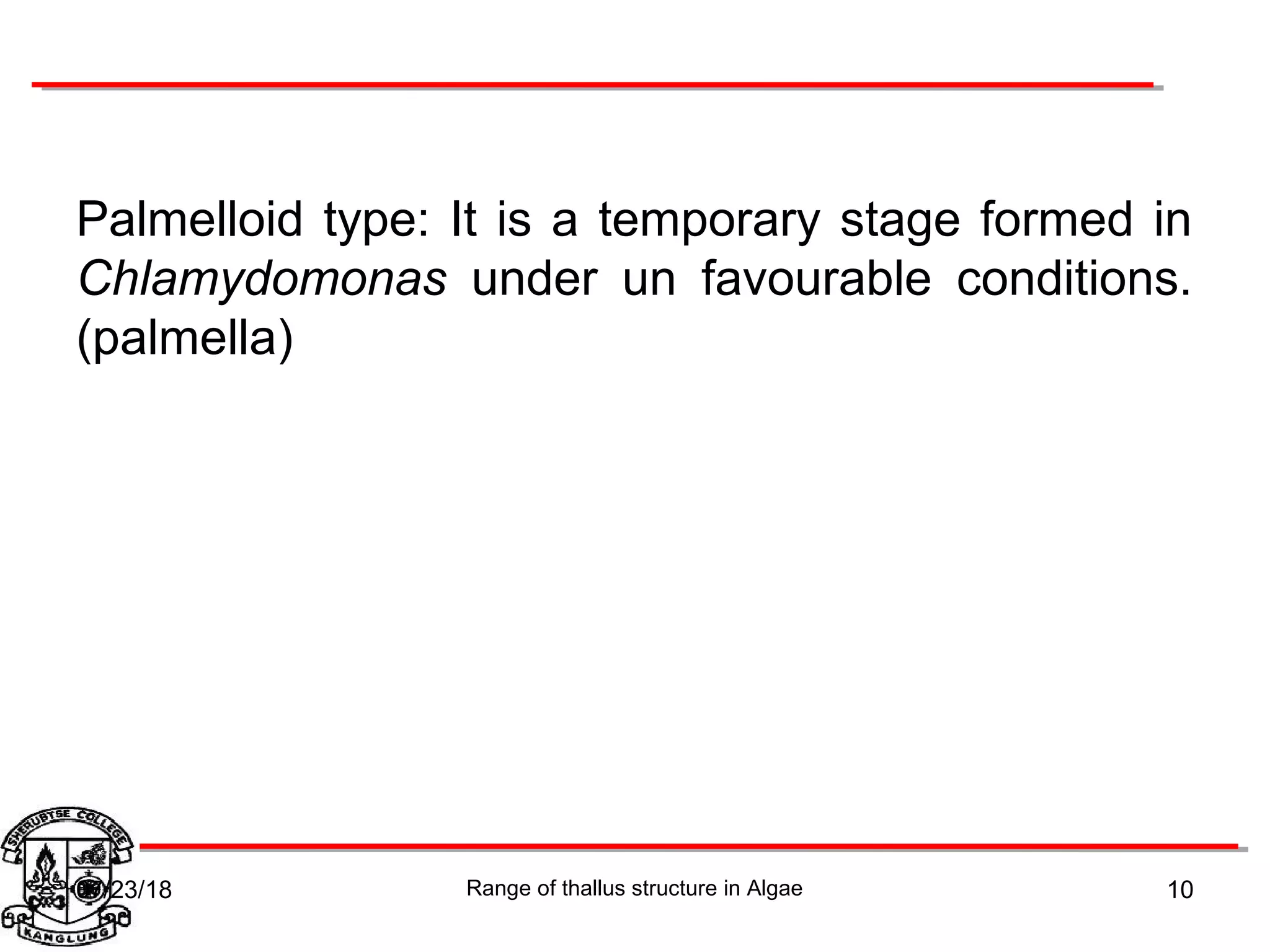 Algae thallus structure | PPT