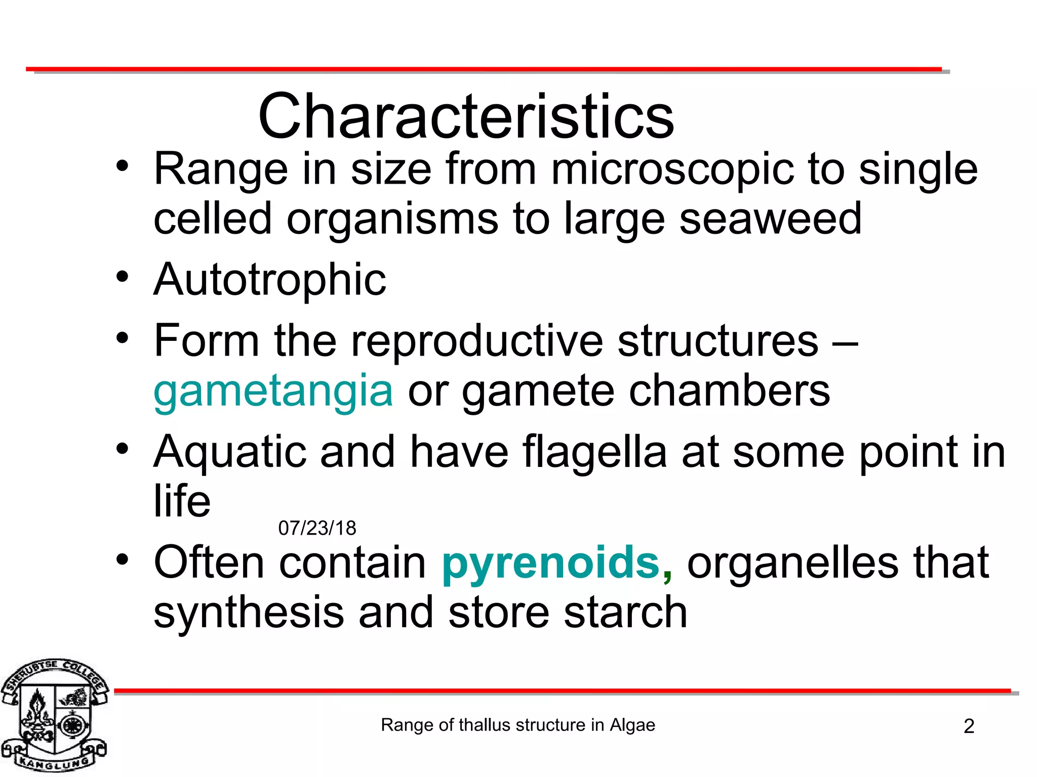 Algae thallus structure | PPT