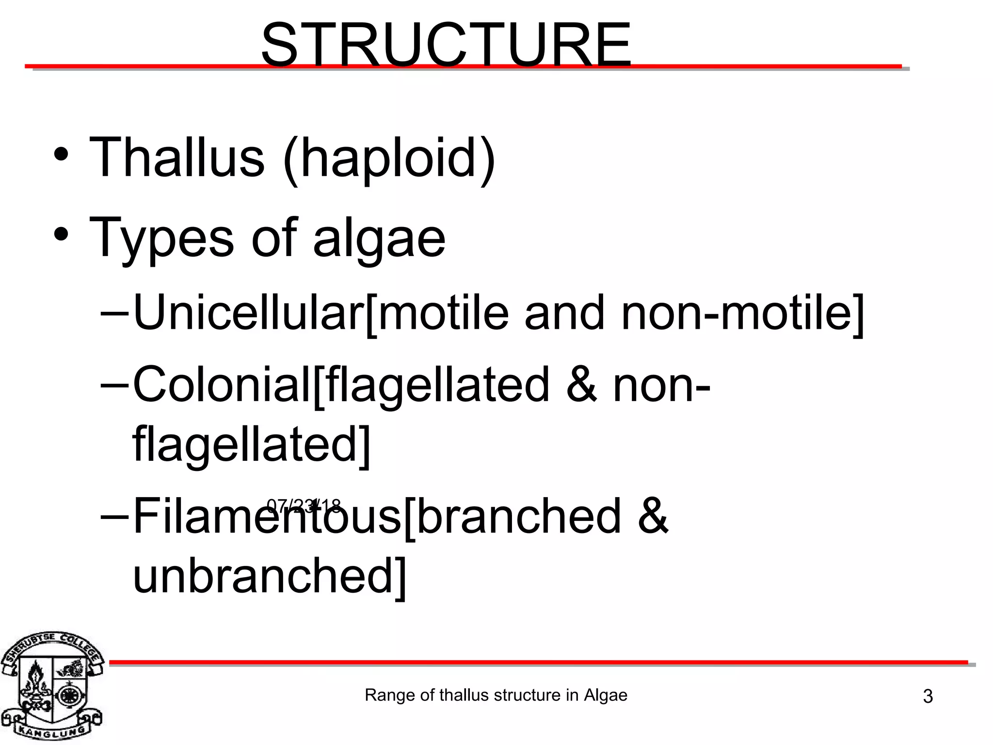 Algae thallus structure | PPT
