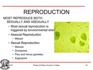 Algae thallus structure | PPT