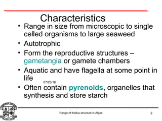Algae thallus structure | PPT