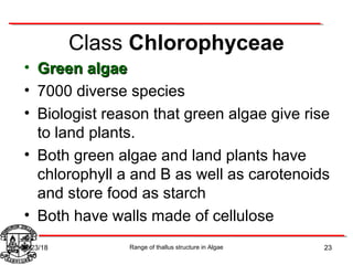 Algae thallus structure | PPT