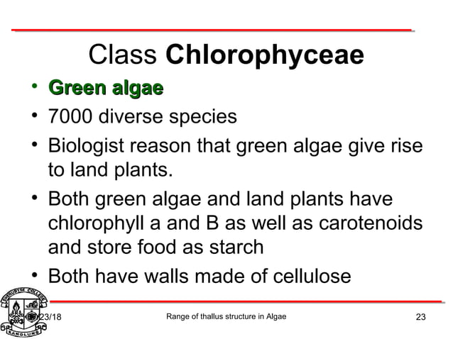 Algae thallus structure | PPT