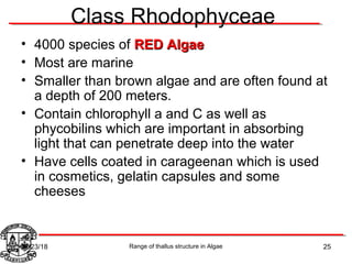 Algae thallus structure | PPT