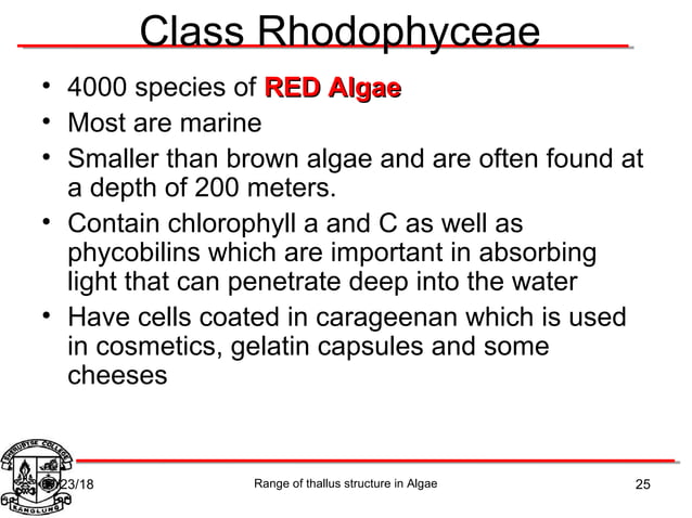 Algae thallus structure | PPT