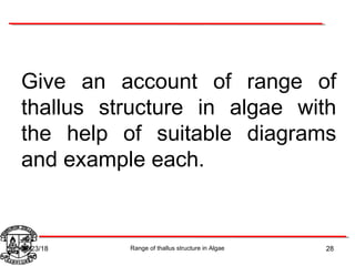 Algae thallus structure | PPT