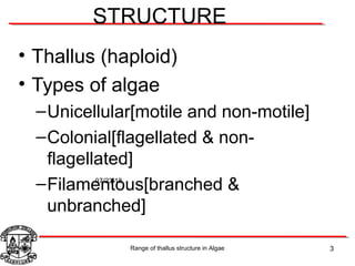 Algae thallus structure | PPT