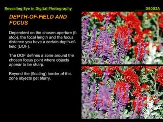 Lesson 1b Depth Of Field | PPT