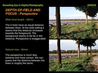 Lesson 1b Depth Of Field | PPT