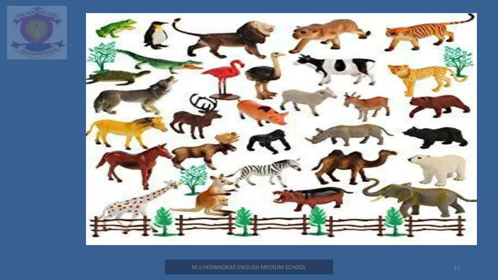 Lesson- 1 Introduction of animals.pptx