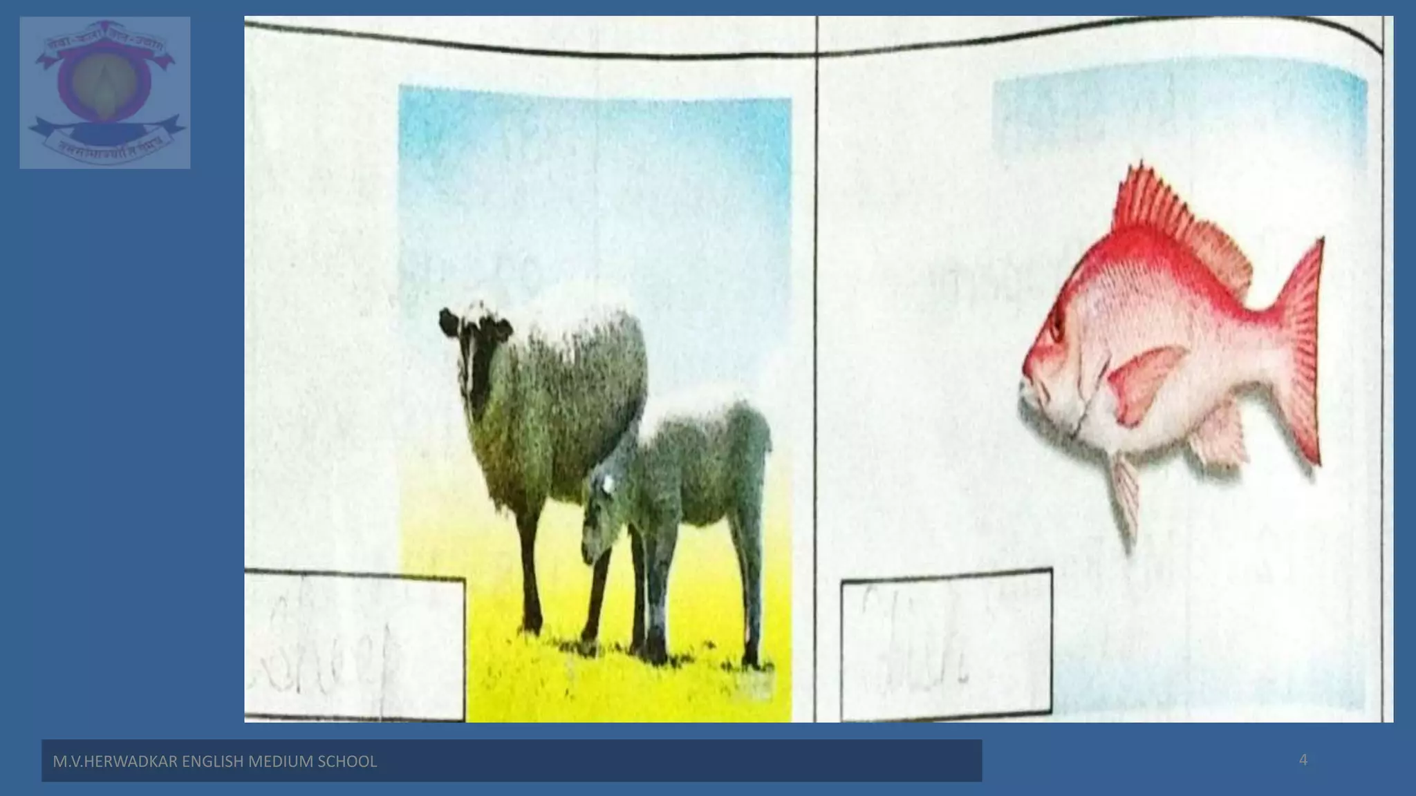 Lesson- 1 Introduction of animals.pptx