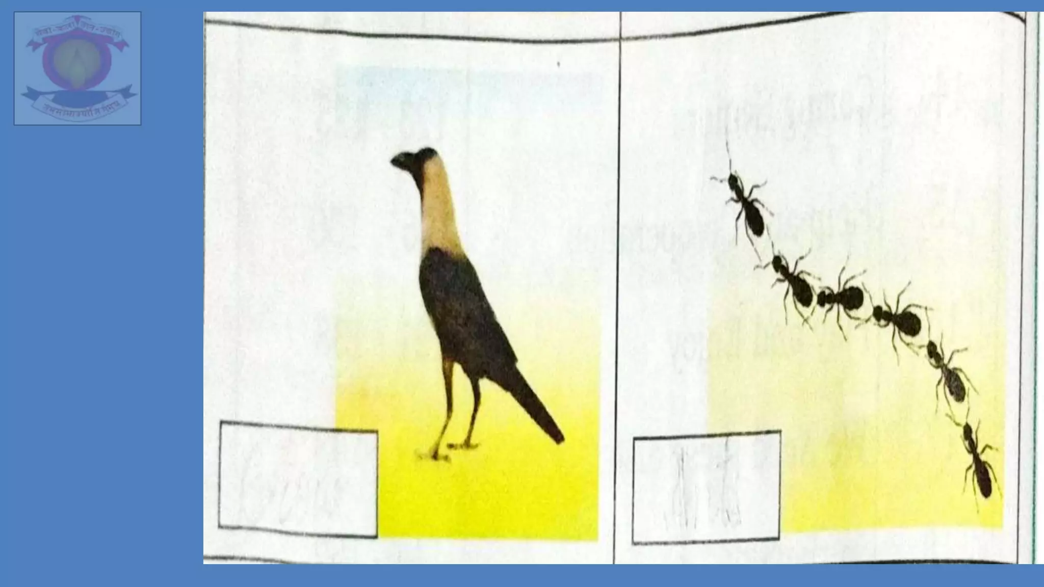 Lesson- 1 Introduction of animals.pptx | Free Download