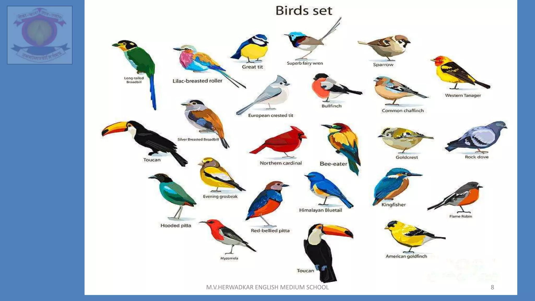 Lesson- 1 Introduction of animals.pptx