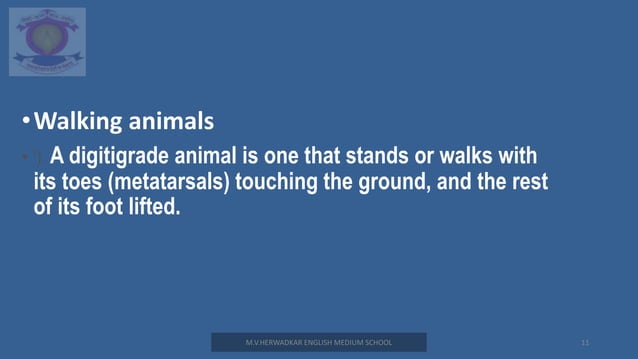 Lesson- 1 Introduction of animals.pptx