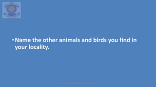 Lesson- 1 Introduction of animals.pptx