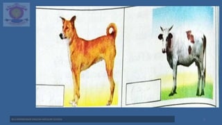 Lesson- 1 Introduction of animals.pptx