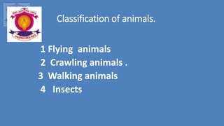Lesson- 1 Introduction of animals.pptx