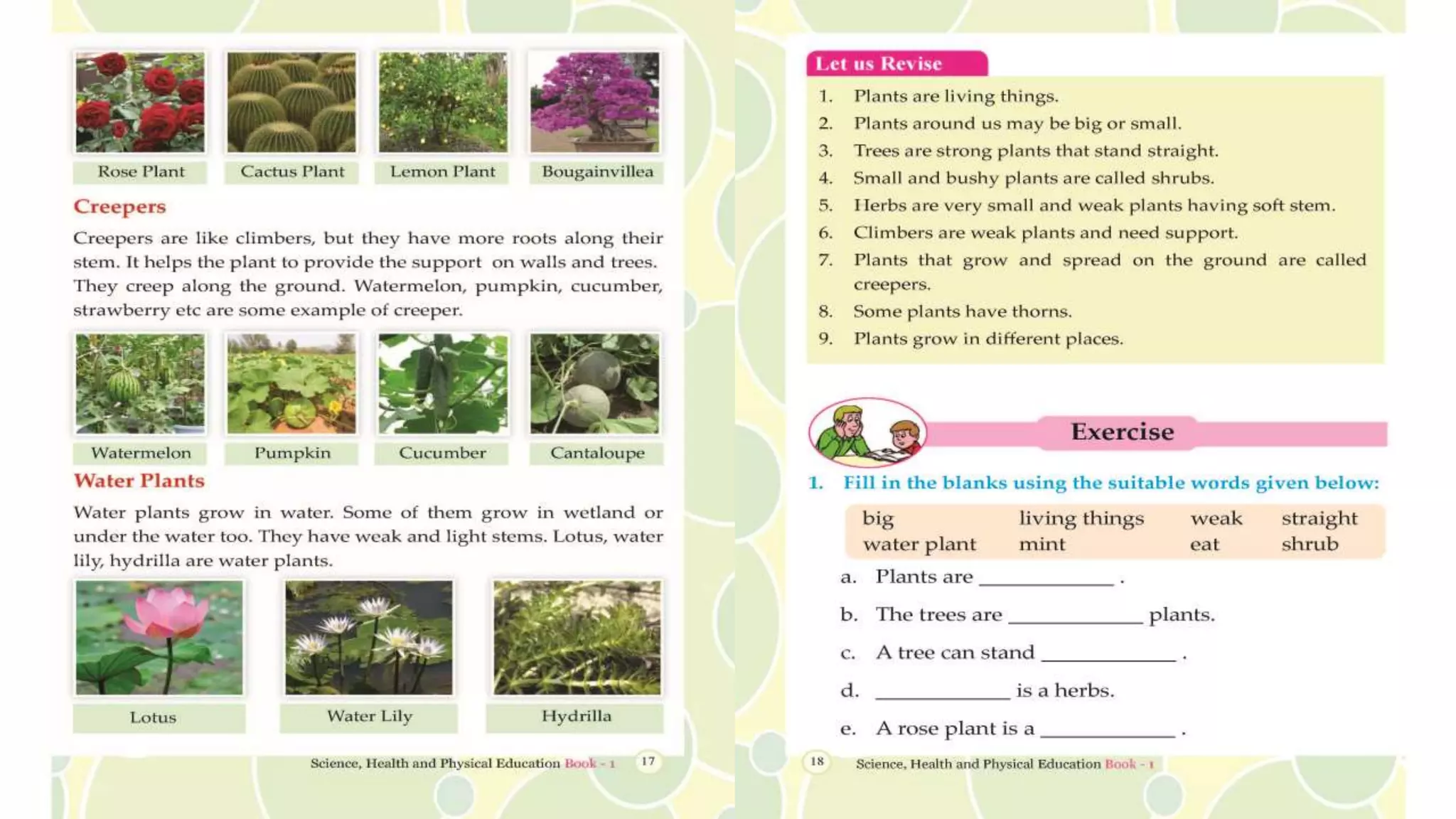 1 living and non living things for class 1 | PPTX