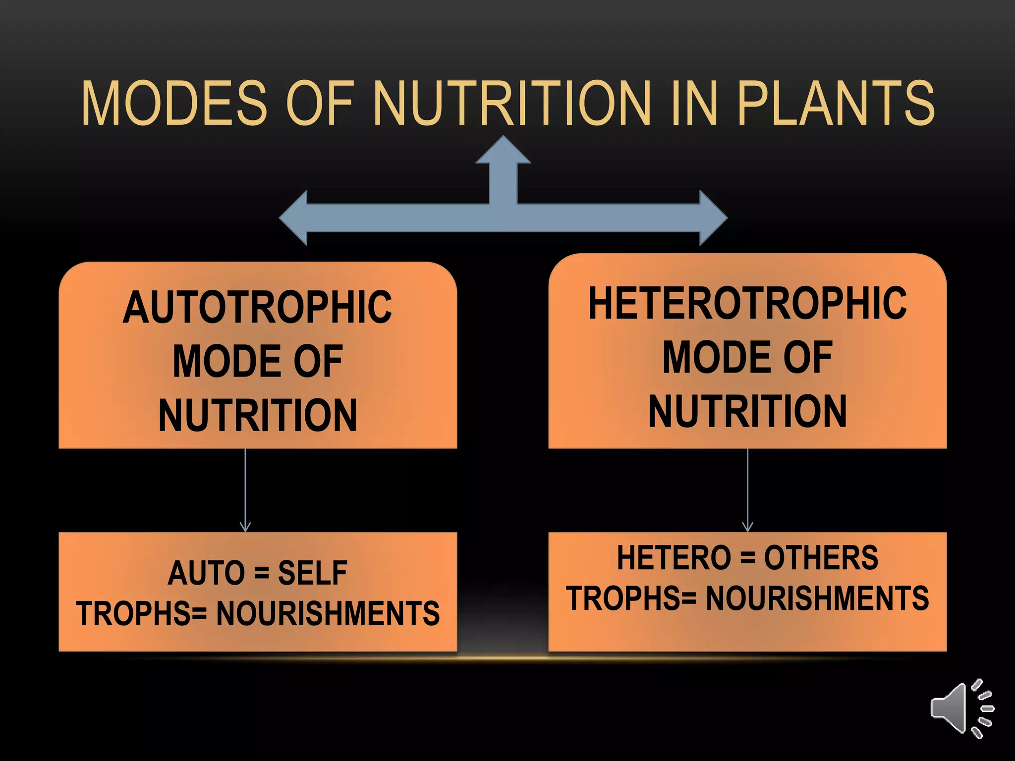 Lesson 1 nutrition in plants | PPTX