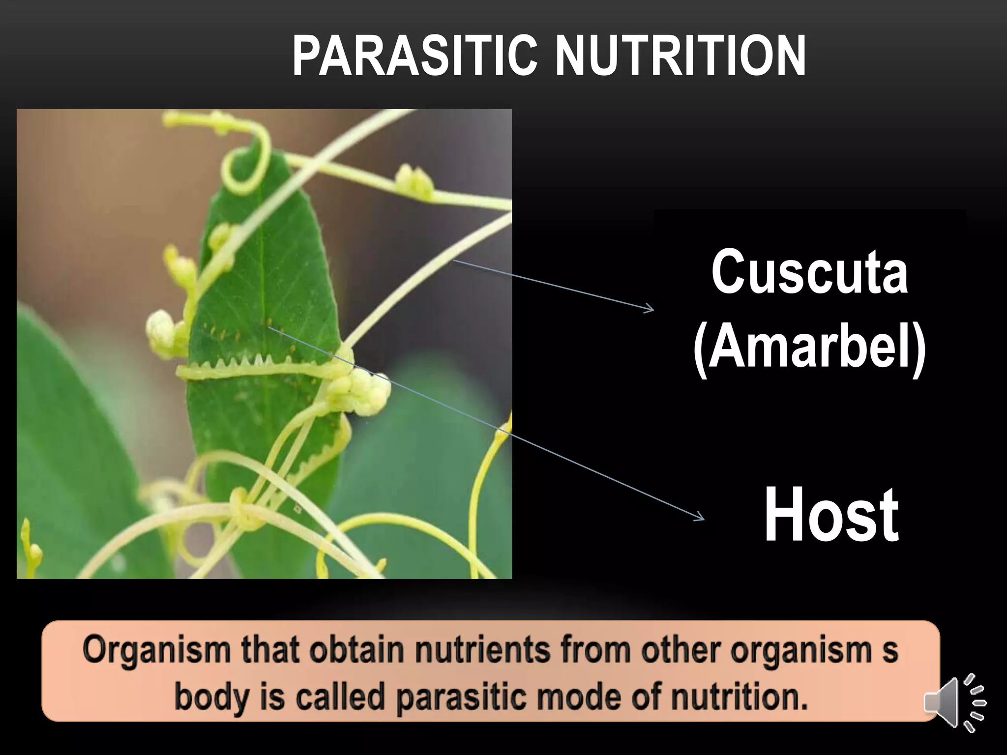 Lesson 1 nutrition in plants | PPTX