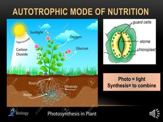Lesson 1 nutrition in plants | PPTX