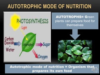 Lesson 1 nutrition in plants | PPTX