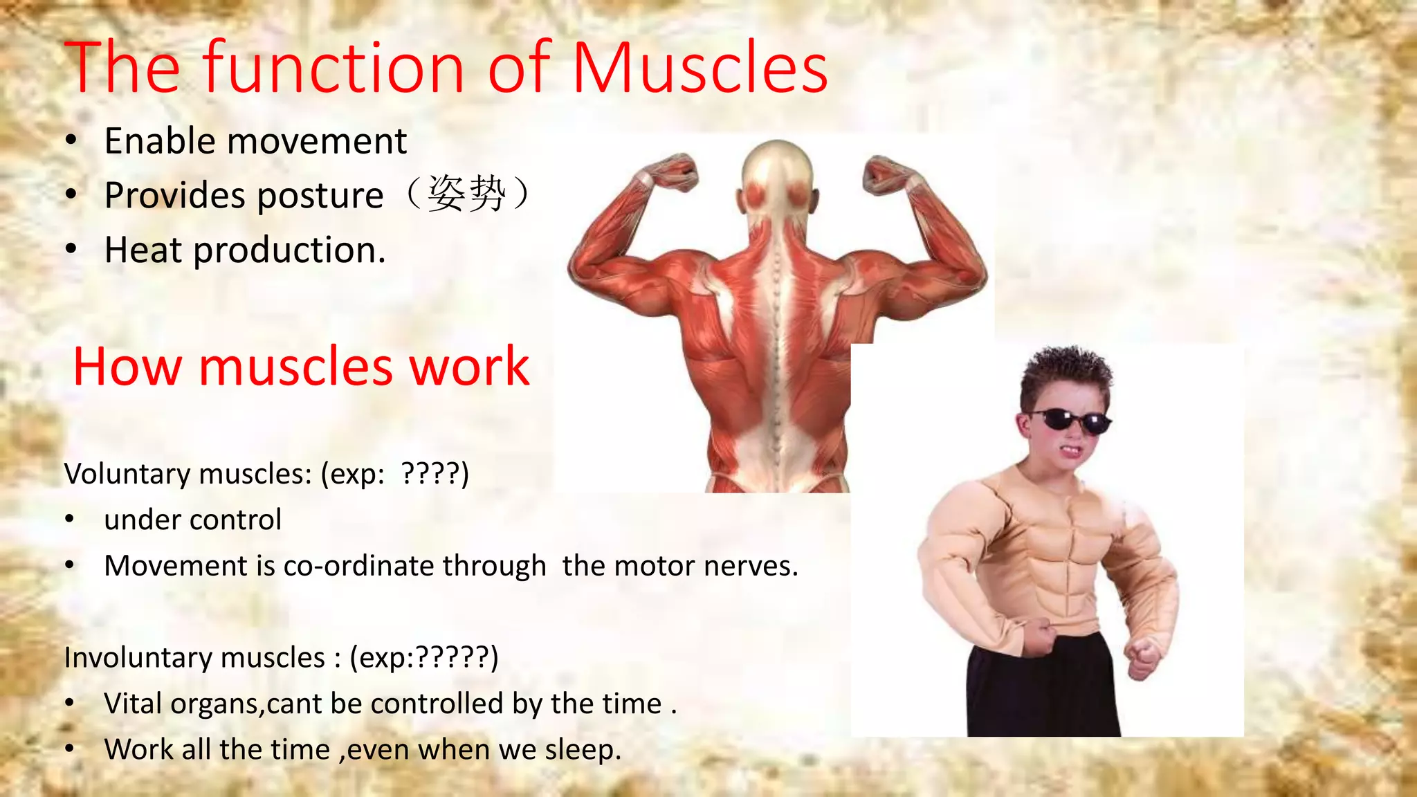 初级组 Lesson 2 | PPTX