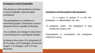 LESSON-2-Cell-Organelles-and-Their-Functions.pptx