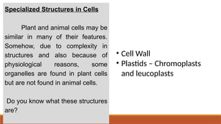 LESSON-2-Cell-Organelles-and-Their-Functions.pptx