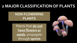 LESSON-2-CLASSIFICATION of agriculture and fishery | PPT