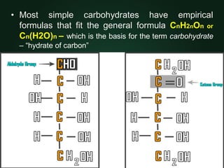 Lesson-2-Classification-of-Carbohydrates-Classifying-Monosaccharides-on ...