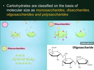 Lesson-2-Classification-of-Carbohydrates-Classifying-Monosaccharides-on ...