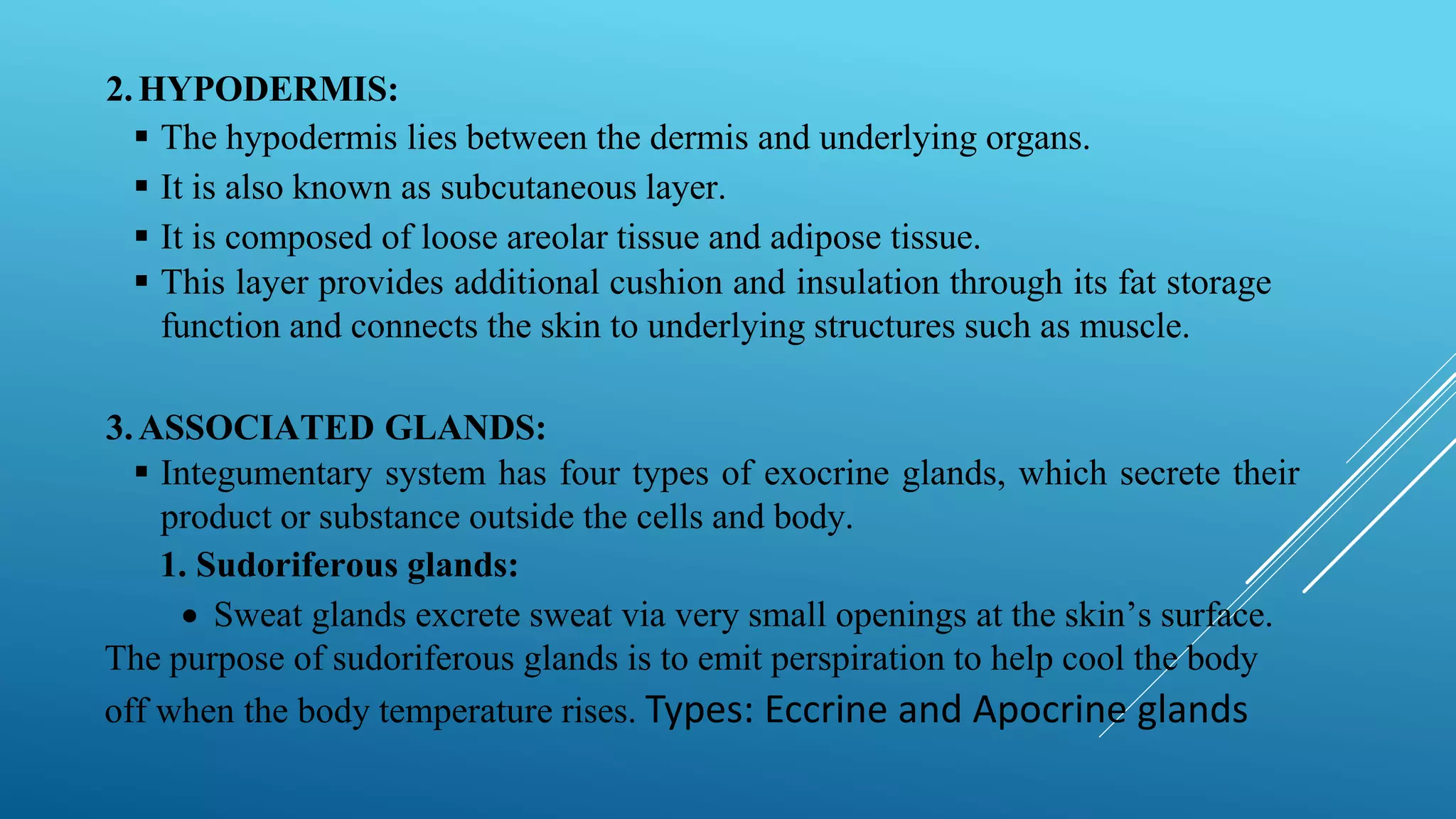 Lesson-2-Integumentary-System.pptx