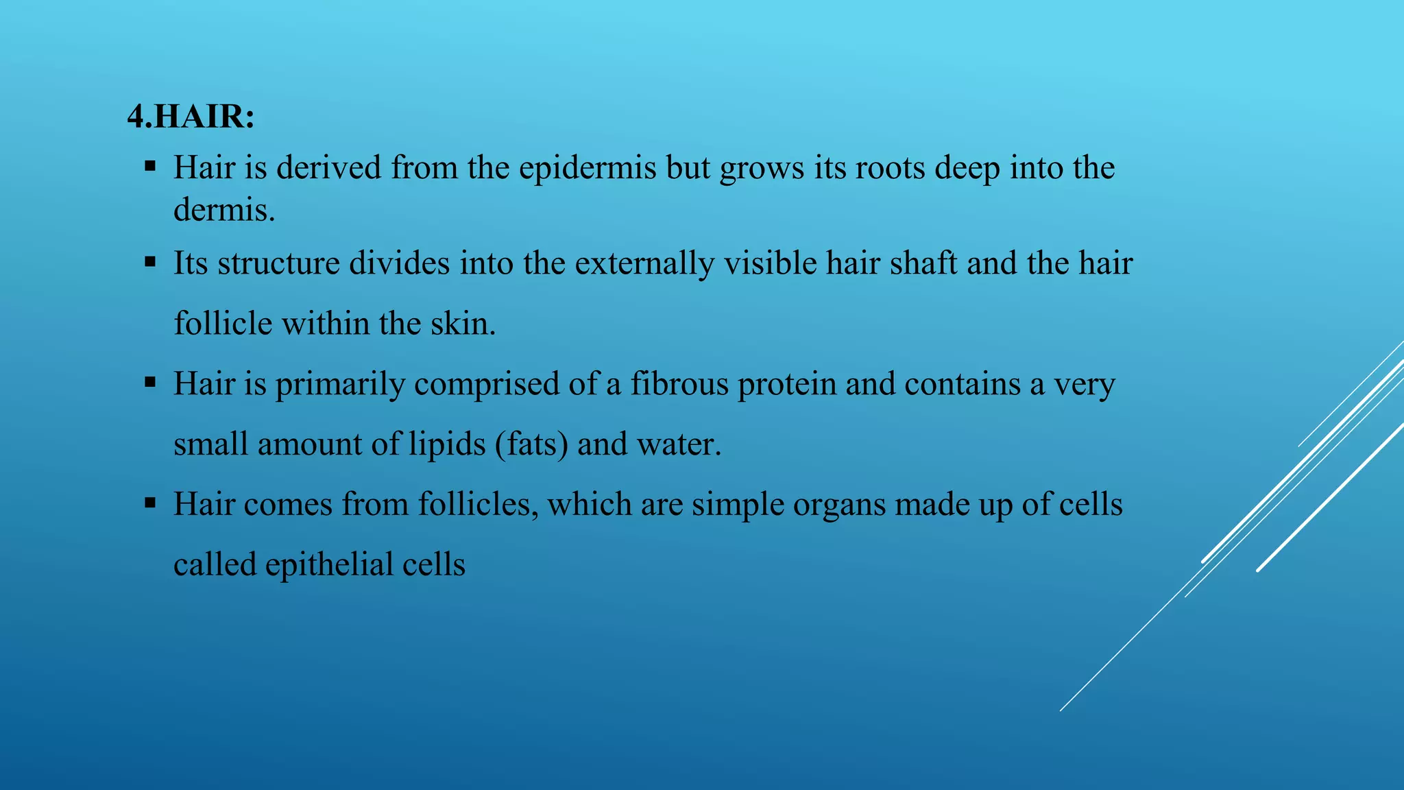 Lesson-2-Integumentary-System.pptx
