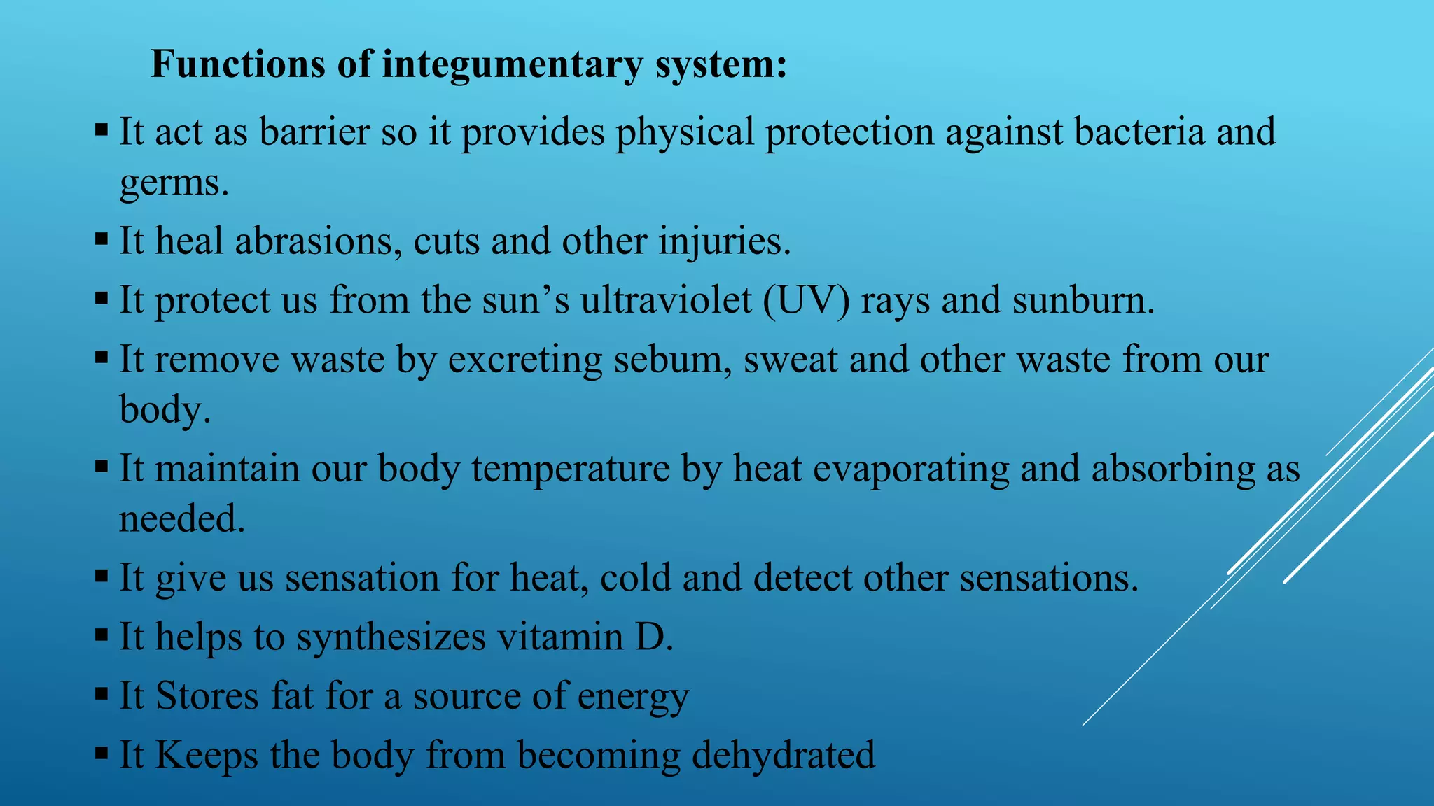 Lesson-2-Integumentary-System.pptx