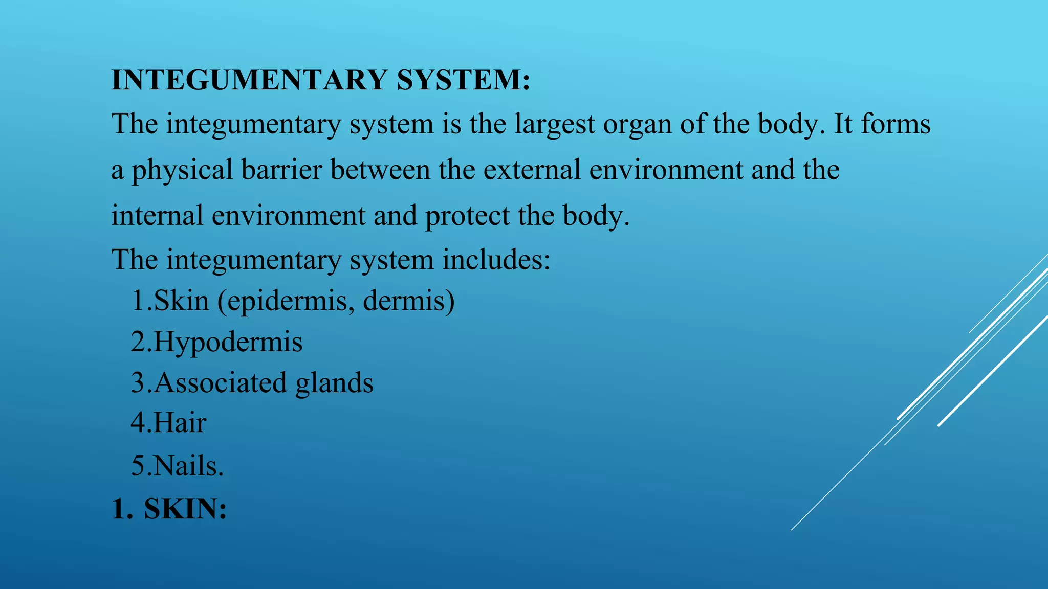 Lesson-2-Integumentary-System.pptx
