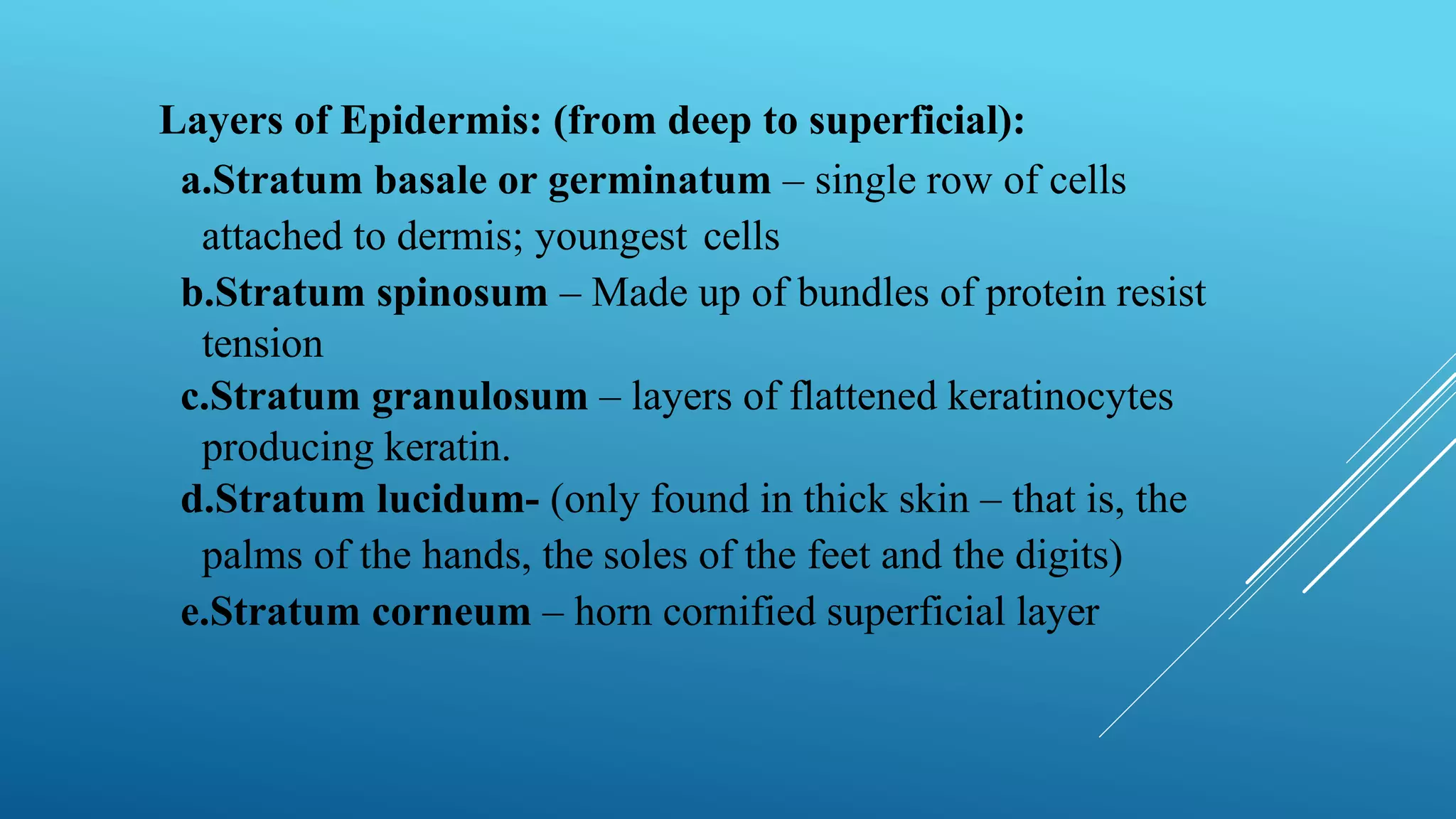 Lesson-2-Integumentary-System.pptx