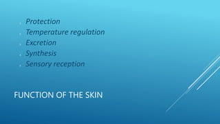 Lesson-2-Integumentary-System.pptx