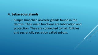 Lesson-2-Integumentary-System.pptx