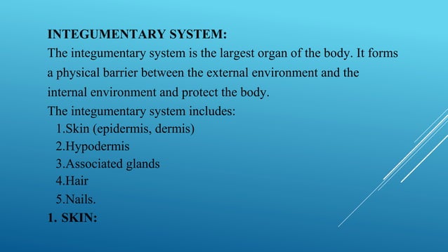 Lesson-2-Integumentary-System.pptx
