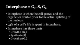 Lesson-2-Mitosis-vs.-Meiosis.pptx