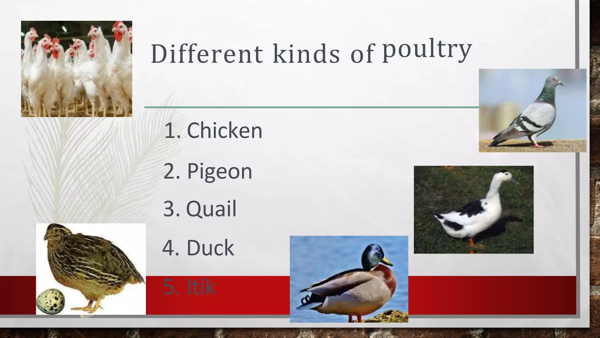 Lesson-2-Prepare-Poultry-and-Game-Dishes ppt.pptx