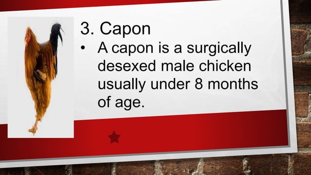 Lesson-2-Prepare-Poultry-and-Game-Dishes ppt.pptx