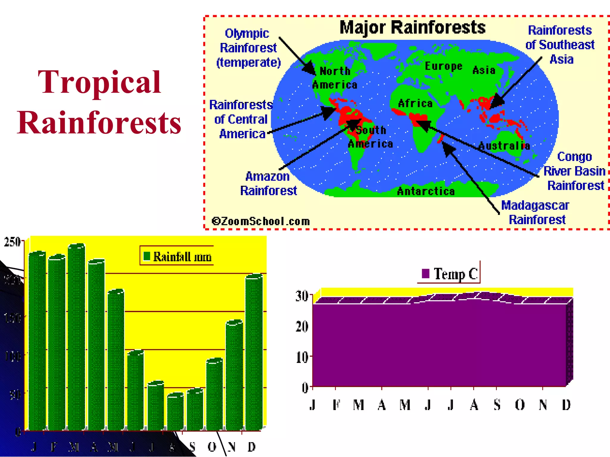 Lesson 2 Rainforest Ecosystems | PPT