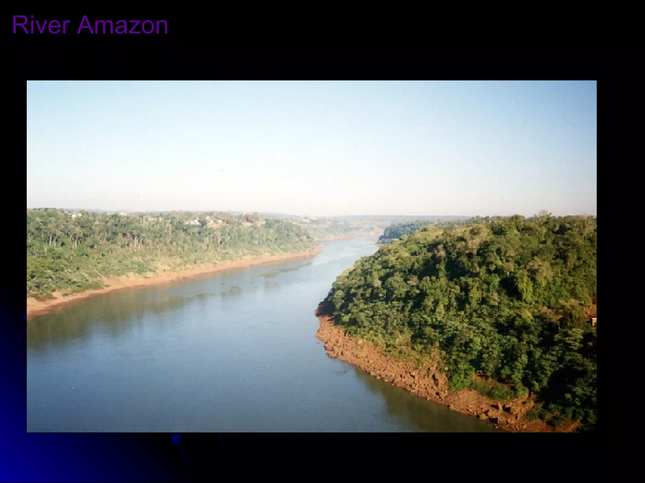 Lesson 2 Rainforest Ecosystems | PPT