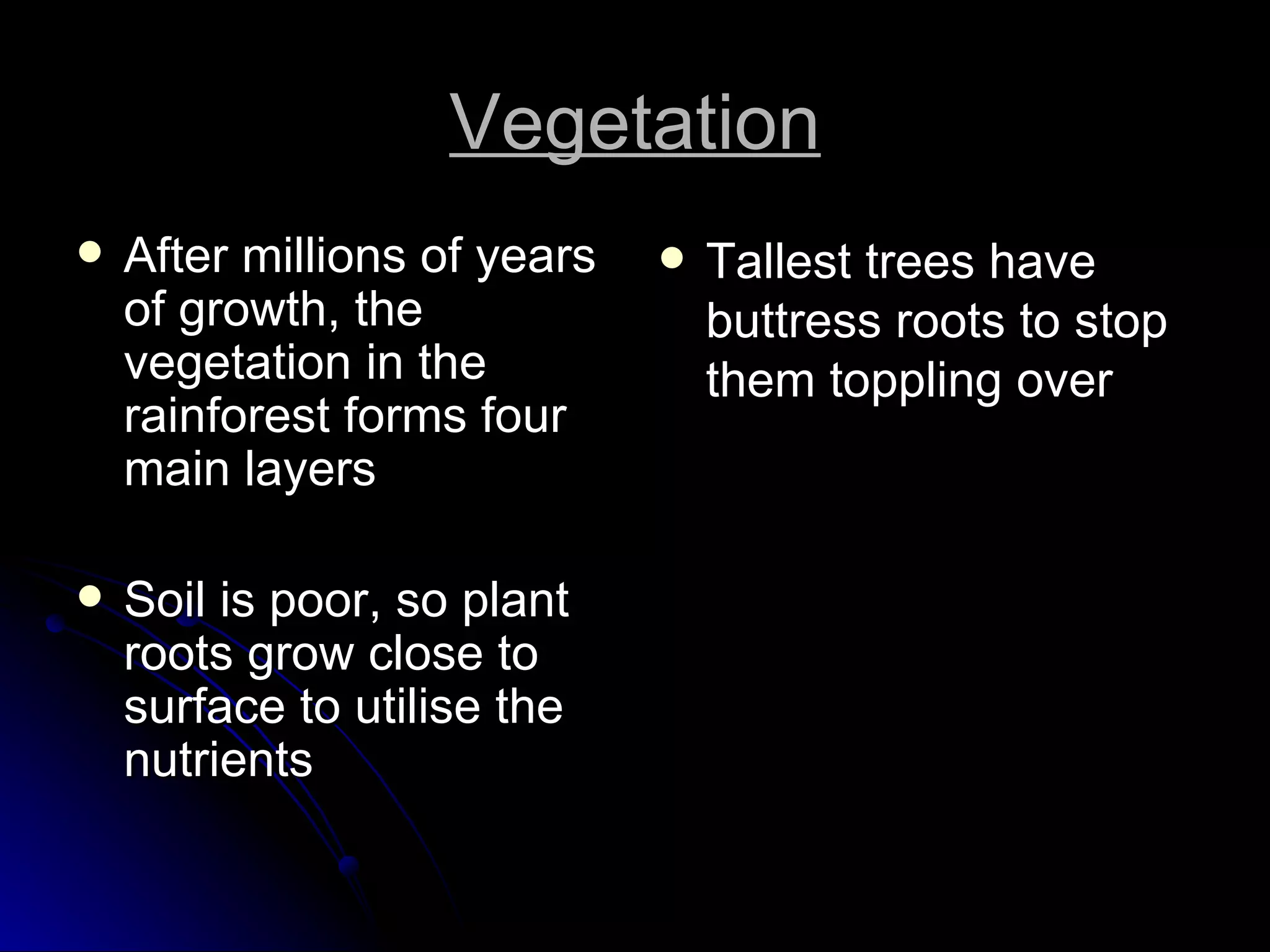 Lesson 2 Rainforest Ecosystems | PPT