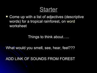Lesson 2 Rainforest Ecosystems | PPT