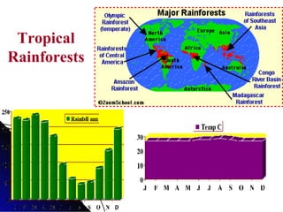 Lesson 2 Rainforest Ecosystems | PPT