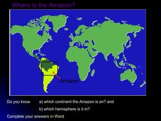 Lesson 2 Rainforest Ecosystems | PPT