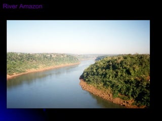 Lesson 2 Rainforest Ecosystems | PPT